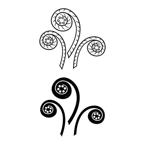 Premium Vector Fiddleheads Icons Premium Vector Fiddleheads Icons