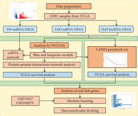 Overall Flowchart Of This Study Download Scientific Diagram
