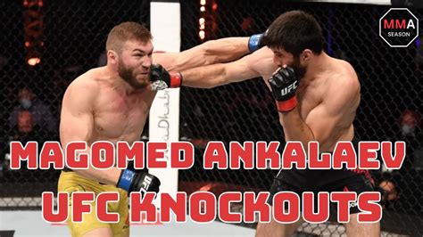 Magomed Ankalaev Ufc Knockouts Ufc Mma Magomedankalaev
