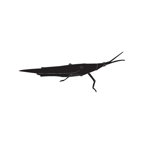 Grasshopper Icon Design 46596579 Vector Art At Vecteezy