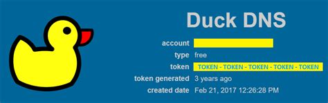 EdgeRouter X Configurar DuckDNS