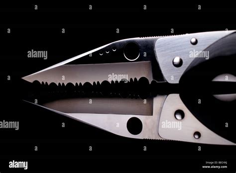 Knife Blade Spyderco Fighting Weapon Self Defence Weapons Sharp