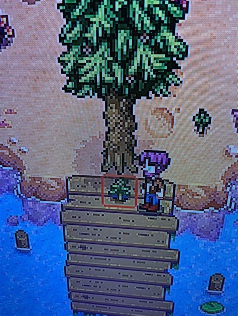 Bug Lol Rstardewvalley