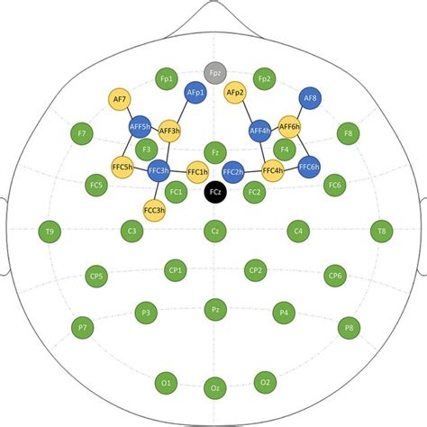 Combined Fnirs Eeg Montage Colours Blue Fnirs Detector Download Scientific Diagram