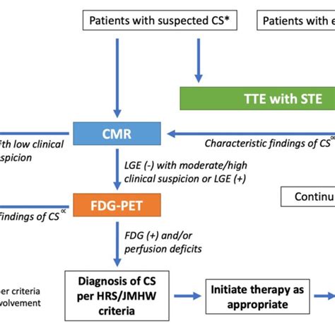 Echocardiographic Findings In Cardiac Sarcoidosis A Left Download Scientific Diagram