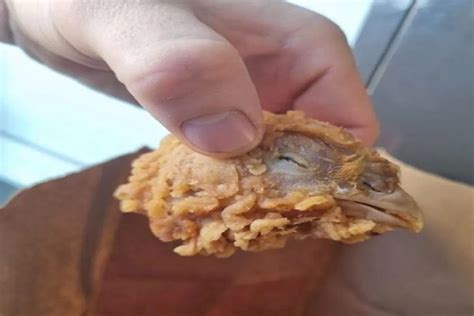Kfc டெலிவரியில் வறுத்த Chicken தலை அதிர்ச்சியடைந்த வாடிக்கையாளர்