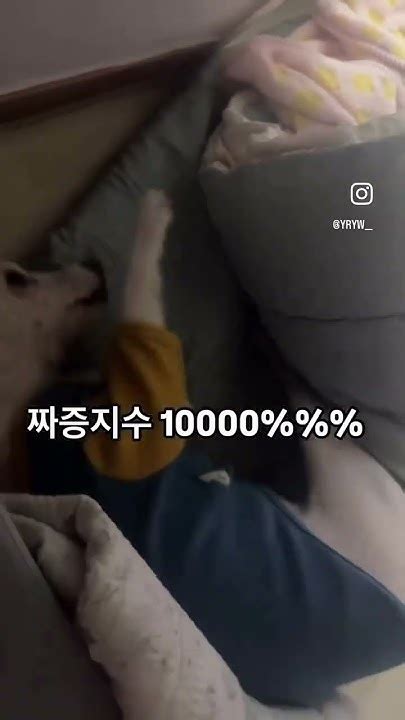 날 혼자 집에 두고 나갔다 온거라 이거지 Youtube