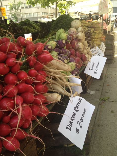 17 Best Images About Edible Root Vegetables On Pinterest Blood