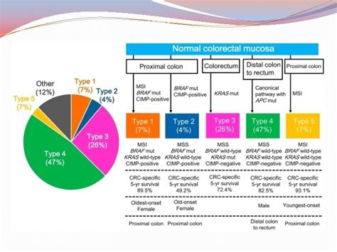 molecular pathological classification of colorectal cancer crc dr