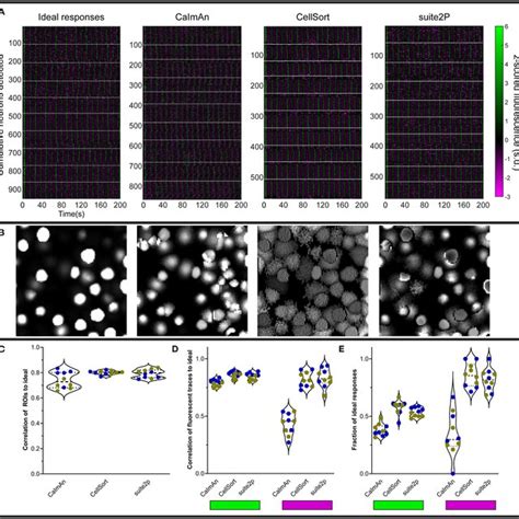 spike inference from simulated calcium traces a we applied each of