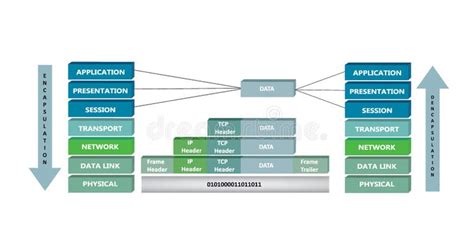 Encapsulation And Deencapsulation Proces In Osi Reference Model Stock Vector Illustration Of