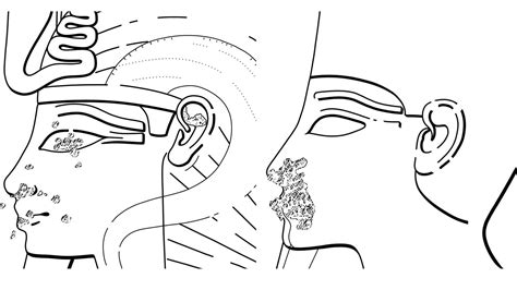 Lets Talk About Ears Stylistic Attributes And Visual Representation