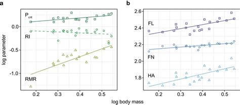 Allometric Scaling Of Respirometric Traits And Gill Morphometrics A Download Scientific