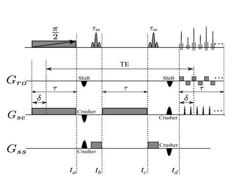 3 Raser Pulse Programme The Frequency Swept Chirp Pulse With A Wurst Download Scientific