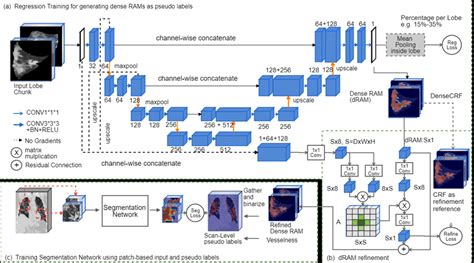overview of the proposed weakly supervised segmentation framework a