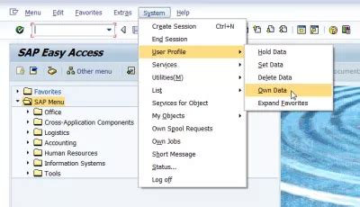 SAP Change Language Of The SAP Interface After Login