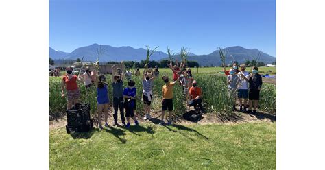 Indigenous Knowledge Sustainable Agriculture Groups Among Recipients