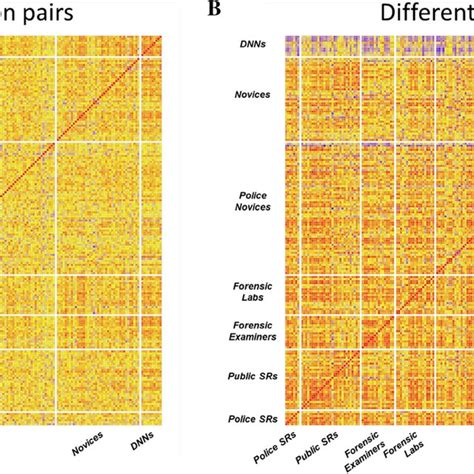 Correlation Heatmaps Of The Similarity Of Responses Between 177 Human