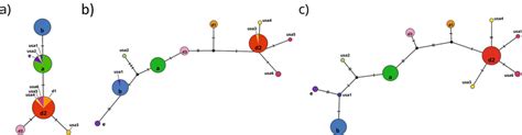 haplotype network based on rnns rnnl and concatenated rnns rnnl