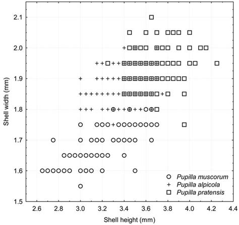 relationship between shell height and shell width of three