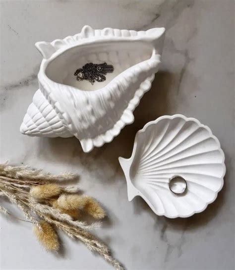 Набір кашпо мушля — ціна 130 грн у каталозі Кашпо Купити товари для дому та побуту за