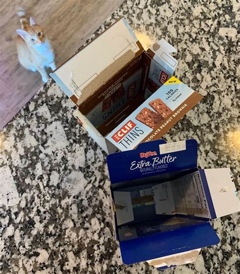 Homeowner Sparks Conversation After Sharing Innovative Method To Make