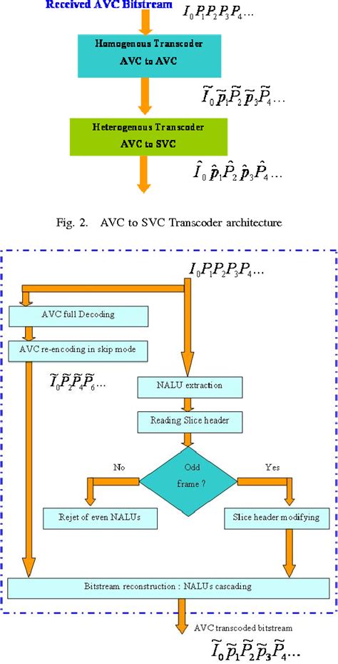 Sulfanilamide 150 Mgml Vaginal Cream Avc Brand Of Sulfanilamide