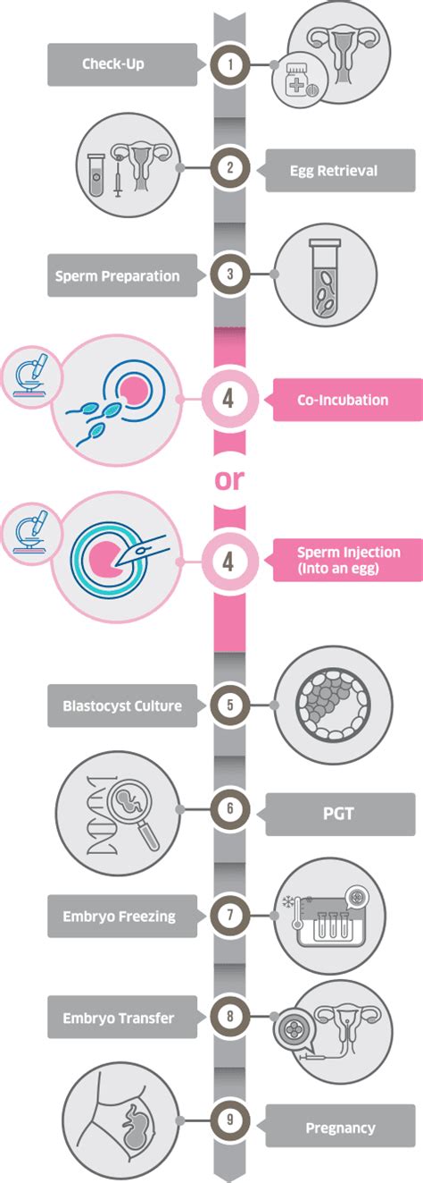 Ivf Icsi Superior A R T