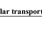 Summary Of Computational Requirements Download Table