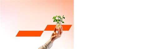 Careers At Pwc Pwc Open Roles