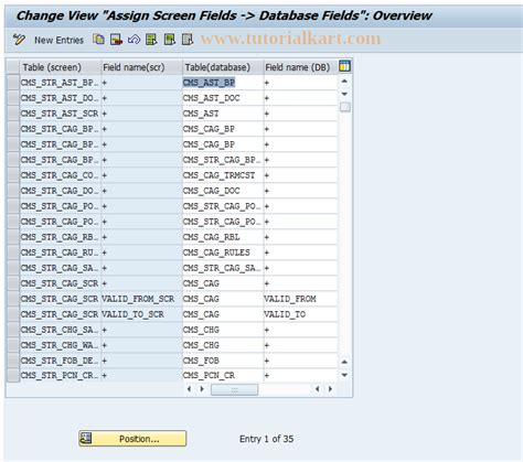 CMS CUS BDT SAP Tcode CMS Control Asn Scrn Fld Dbase Fld