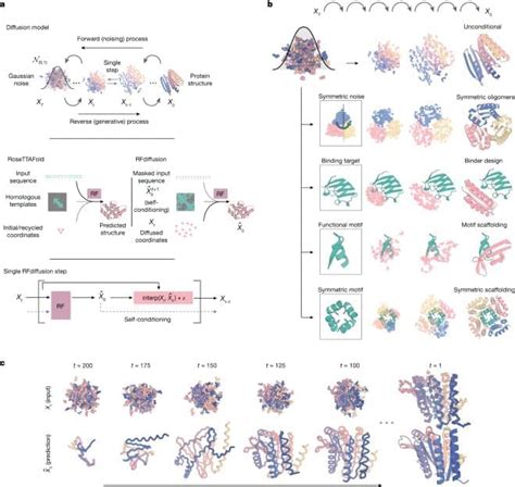 De Novo Design Of Protein Structure And Function With Rfdiffusion