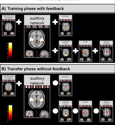 Figure 3 From Dynamic Reconfiguration Of Human Brain Functional Networks Through Neurofeedback