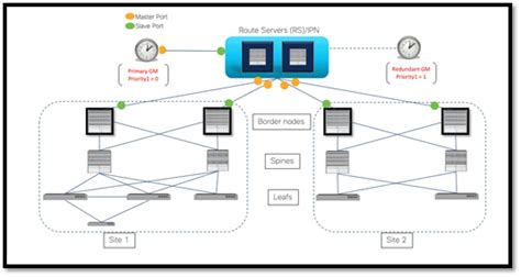 Precision Time Protocol Ptp For Cisco Nexus Dashboard Insights Cisco
