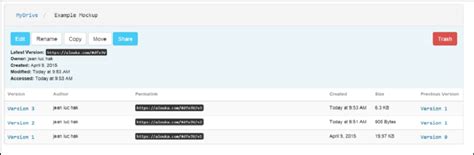 Versioning Using Alouka Download Scientific Diagram