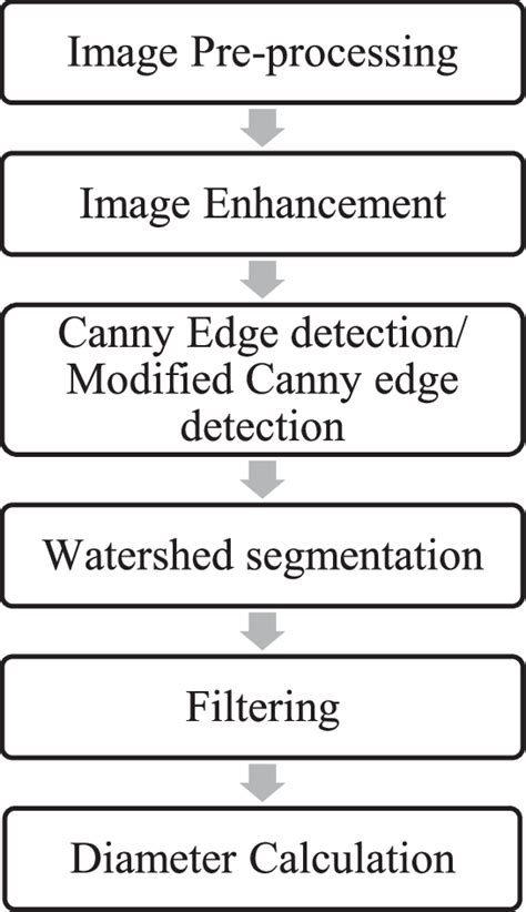 Step By Step Procedure To Measure The Zone Of Inhibition Using Download Scientific Diagram
