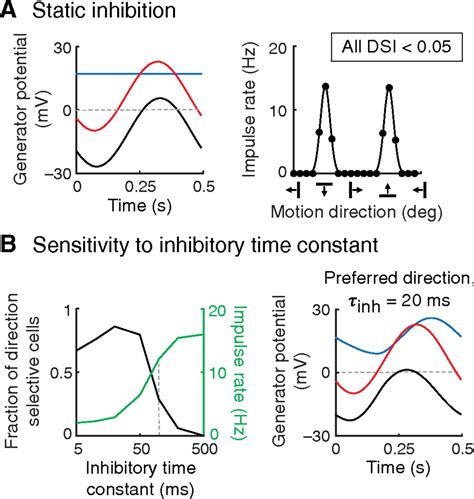 A Model For The Origin Of Motion Direction Selectivity In Visual Cortex Journal Of Neuroscience