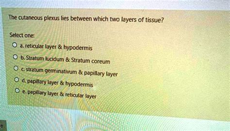 Solved The Cutaneous Plexus Lies Between Which Two Layers Of Tissue Select One A Reticular