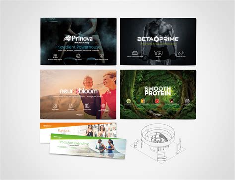 Prinova - Conectiv.co