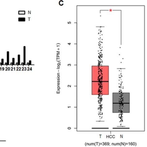 Analysis Of Ezh2 Expression In Hcc Tumor Samples A Ezh2 Mrna Relative Download Scientific