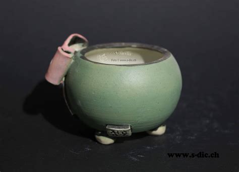 Korea Style B (Schleife Motiv) No.3 – Sukkulenten-das ist cute