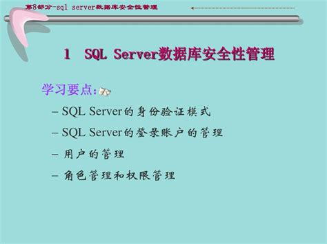 第8章 Sql Server2005的安全性管理 New10 Word文档在线阅读与下载 无忧文档
