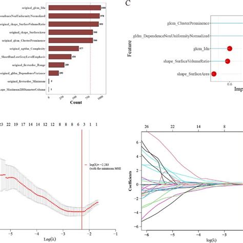 Feature Selection Of The Radiomic Model A Features Histogram B Feature Download Scientific