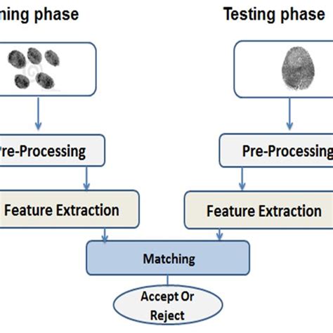 Pdf Biometrics Fingerprint Recognition Using Discrete Cosine
