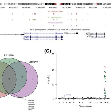 A The Genomic Location Of Single Nucleotide Variants Snvs Selected