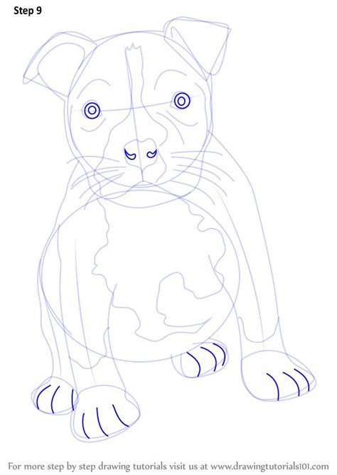 How To Draw A Pitbull Easy Step By Step