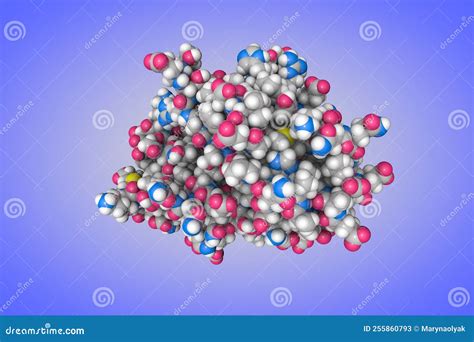 Cmp Kinase Of Streptococcus Pneumoniae Molecular Model Stock Illustration Illustration Of