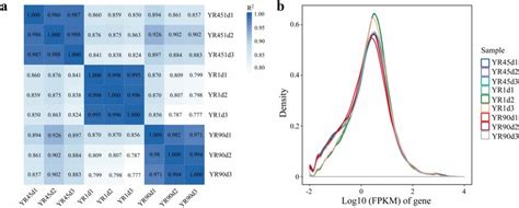 A Heatmap Of Pearson Correlation Between Samples The Number In The