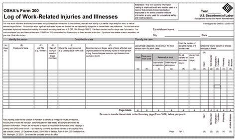 Osha 300 Fillable Form Amulette