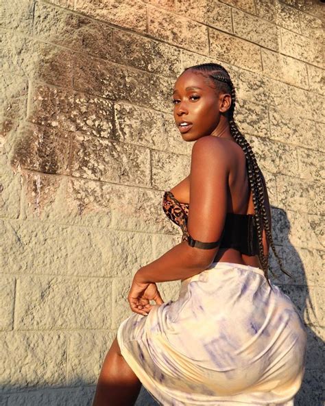 Bria Myles Ombre Braids
